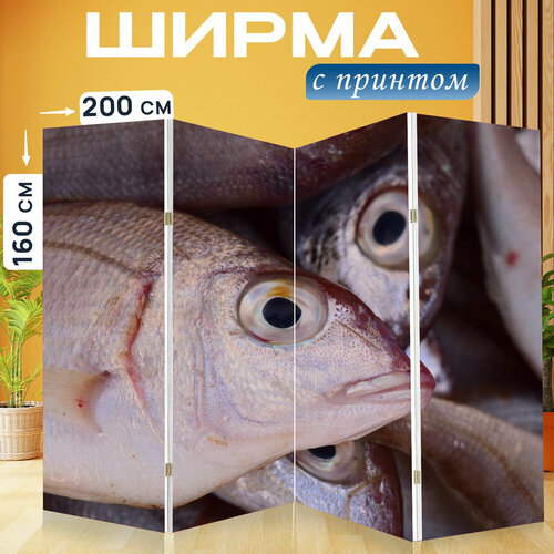 Ширма перегородка с принтом "Рыбы, свежий, рыбный рынок" на холсте - 200x160 см. для зонирования, раскладная