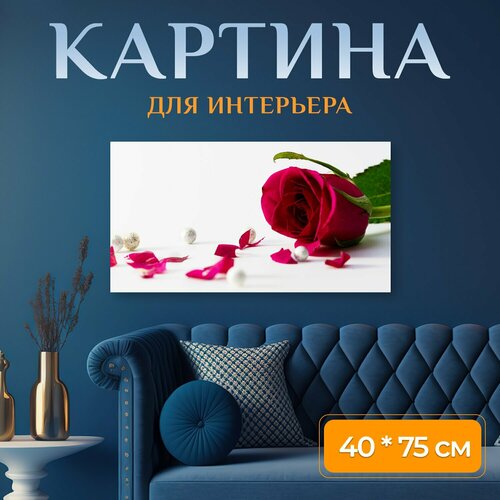 Картина на холсте "Цветок, роза, лепестки" на подрамнике 75х40 см. для интерьера