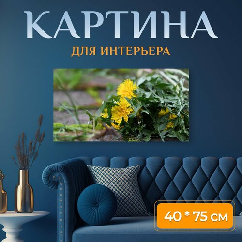 Картина на холсте "Одуванчик, цветок, трава" на подрамнике 75х40 см. для интерьера