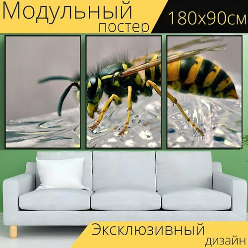 Модульный постер "Шершень, оса, пчела" 180 x 90 см. для интерьера