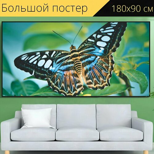 Большой постер "Бабочка, тропические бабочки, экзотика" 180 x 90 см. для интерьера