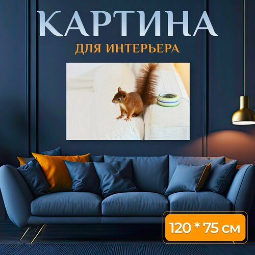 Картина на холсте "Белка, младенец, детеныш" на подрамнике 120х75 см. для интерьера