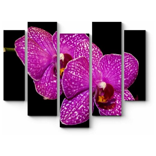 Модульная картина Тропическая орхидея 161x131