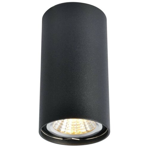 Потолочный накладной светильник Arte Lamp Unix A1516PL-1BK