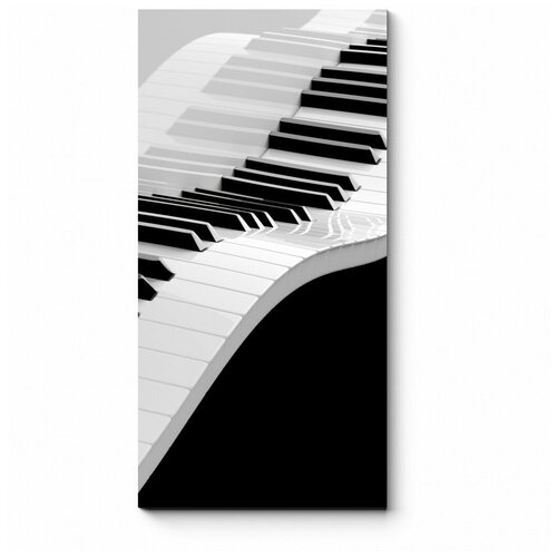 Модульная картина Черно-белая симфония 30x60