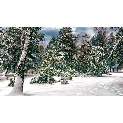 Картина на холсте 60x110 LinxOne "Лес снег сосны деревья зима" интерьерная для дома / на стену / на кухню / с подрамником
