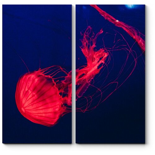 Модульная картина Алая медуза 130x130