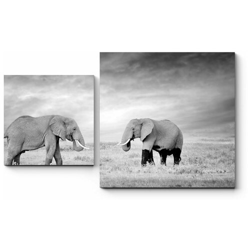 Модульная картина Слоны в национальном парке 140x84
