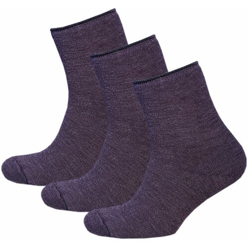 Носки STATUS, 3 пары, размер 23-25, фиолетовый, коричневый