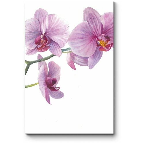 Модульная картина Ветка чудесной орхидеи 80x120
