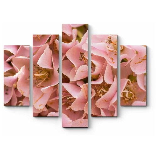 Модульная картина Розовые лепестки125x100