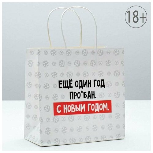 Пакет подарочный Еще один год, 22 х 22 х 11 см/по 1 шт
