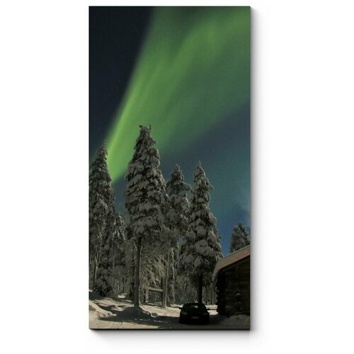 Модульная картина Зимний сказочный лес 30x60