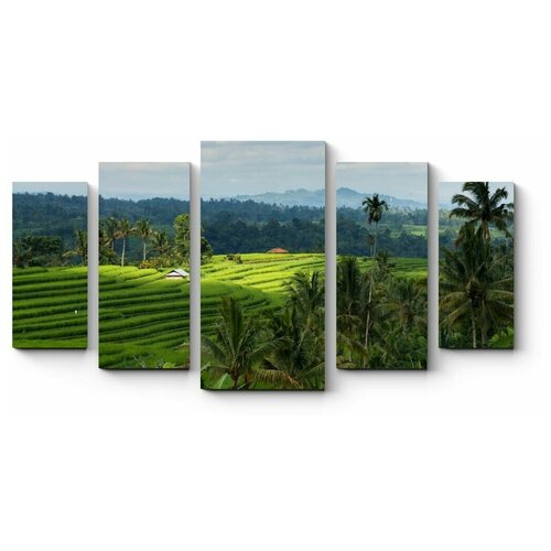 Модульная картина Бали, рисовые поля 120x66
