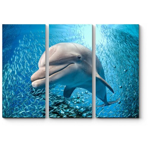 Модульная картина Улыбка дельфина 140x100