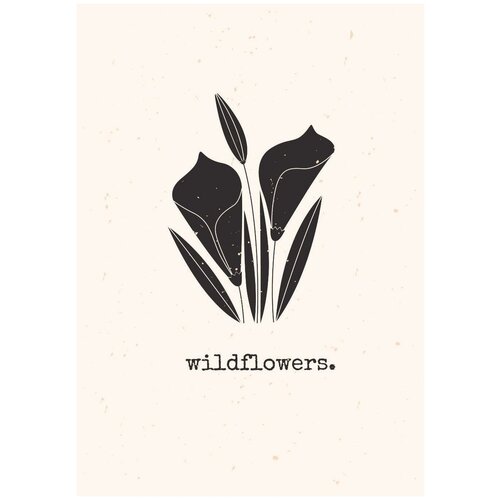 Постер / Плакат / Картина Цветы и растения - Полевые цветы 40х50 см в подарочном тубусе