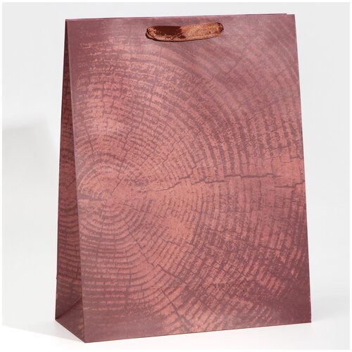 Пакет подарочный Дарите счастье Нереальных высот L, 31х40х9 см, коричневый