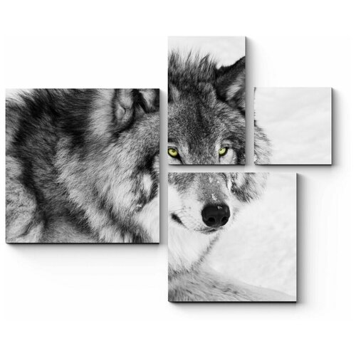 Модульная картина Черно-белый портрет волка 122x102