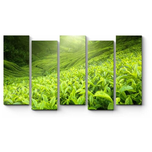Модульная картина Бескрайняя зелень полей 160x92