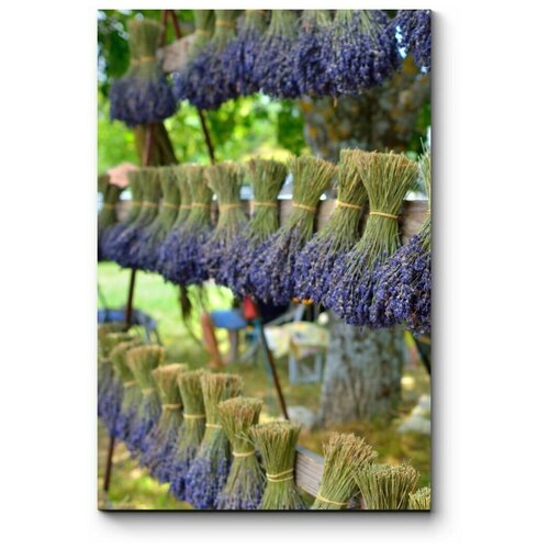 Модульная картина Букеты из лавандовых цветов, Прованс 70x105