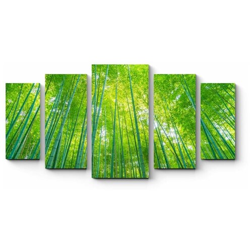 Модульная картина Бамбуковый лес 210x116