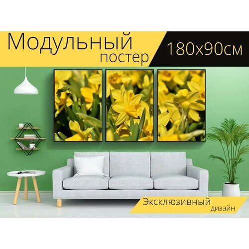Модульный постер "Нарцисс, цвести, желтый" 180 x 90 см. для интерьера