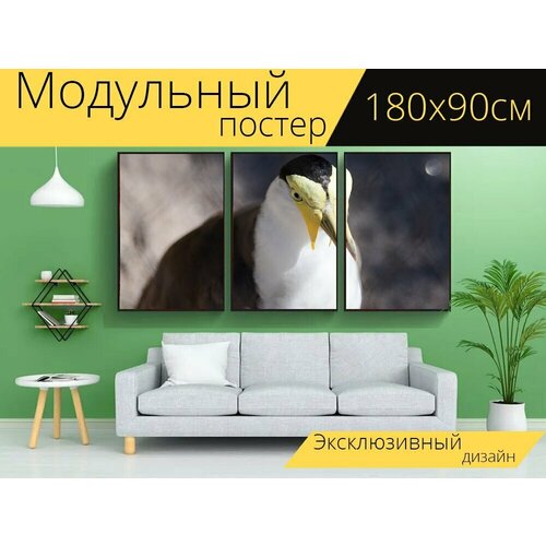 Модульный постер "Замаскированный чибис, птица, зоопарк" 180 x 90 см. для интерьера