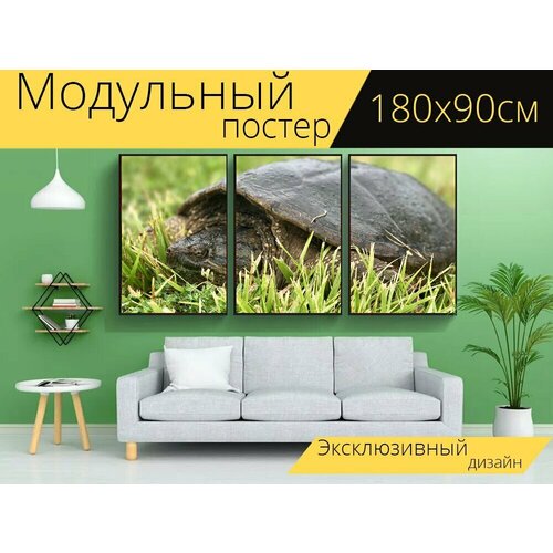 Модульный постер "Черепаха в траве, черепаха, каймановая черепаха" 180 x 90 см. для интерьера