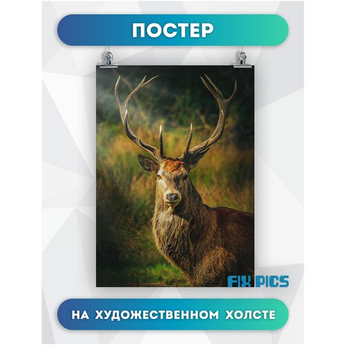 Постер на холсте олень в лесу красивая природа 40х60 см