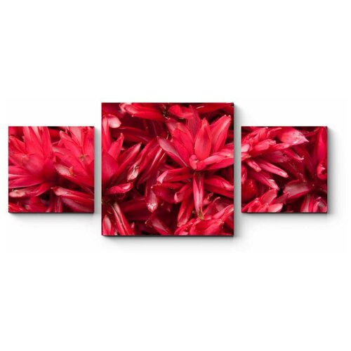 Модульная картина Красные тропические цветы190x81