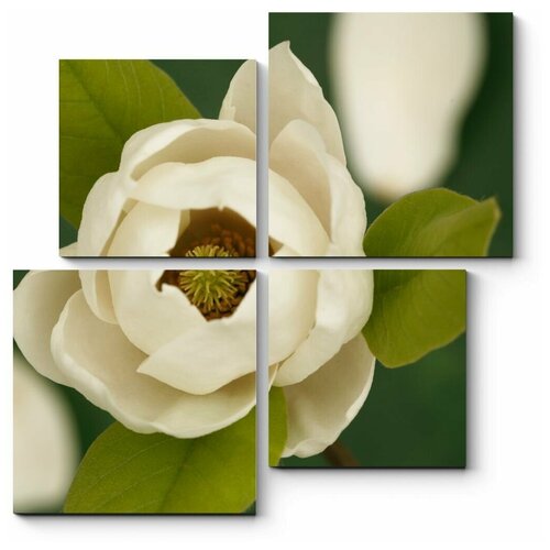 Модульная картина Красота цветка магнолии 90x90
