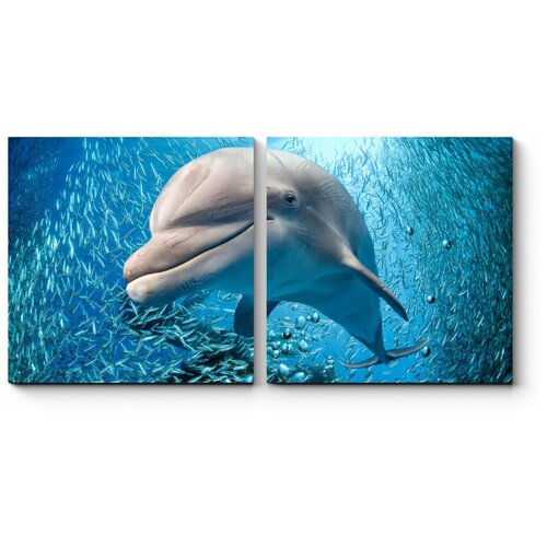 Модульная картина Улыбка дельфина 130x65