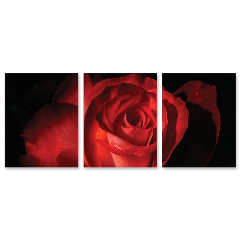 Модульная картина на холсте "Бутон розы" 170x73 см