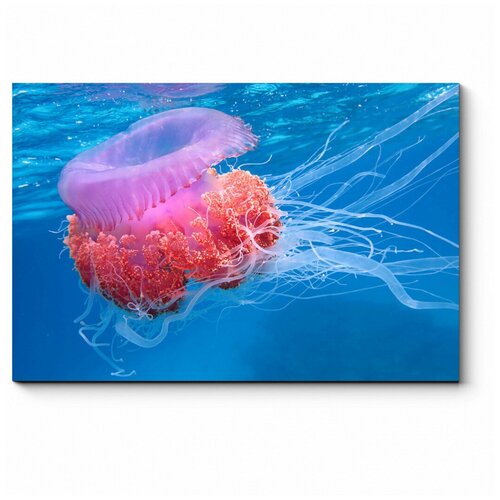 Модульная картина Розовая медуза под водой 40x27