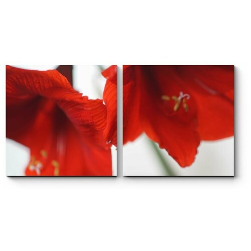 Модульная картина Красные цветы70x35