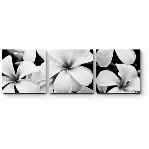 Модульная картина Лаконичные цветы 170x57