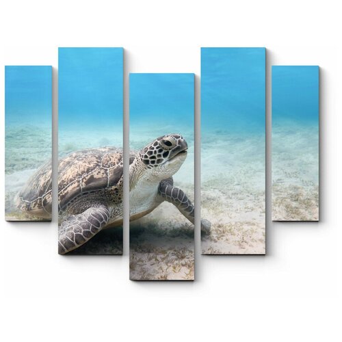 Модульная картина Чарующая подводная черепаха 201x163
