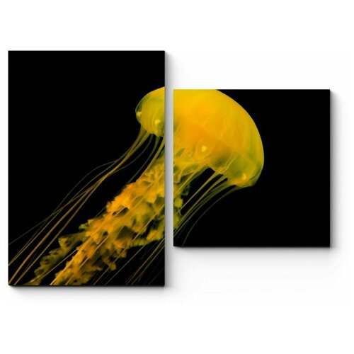 Модульная картина Золотая медуза40x30