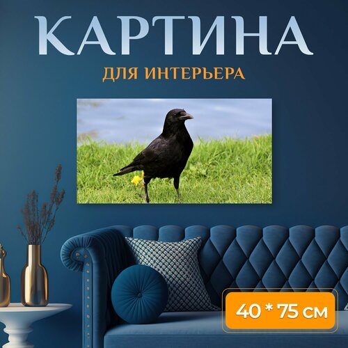 Картина на холсте "Ворона, ворон, чернить" на подрамнике 75х40 см. для интерьера
