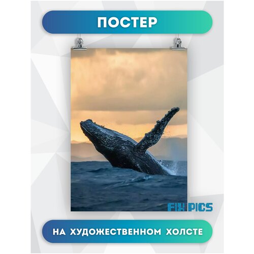Постер на холсте кит на закате, море кит большой синий кит 40х60 см