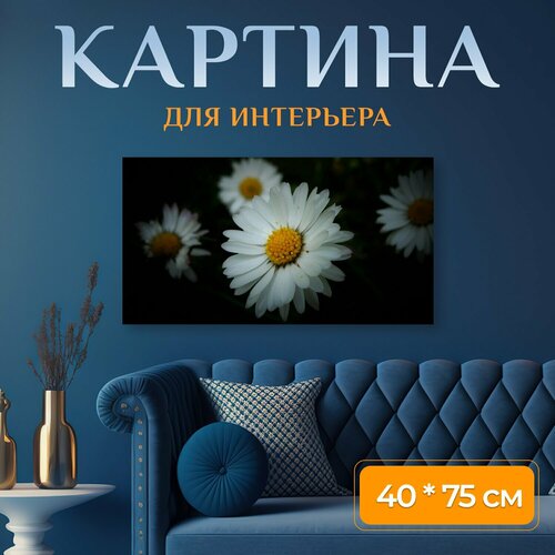 Картина на холсте "Маргаритка, цветок, лепестки" на подрамнике 75х40 см. для интерьера