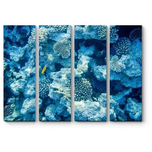 Модульная картина Коралловые рифы 140x105