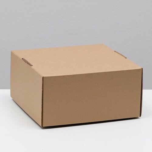 Коробка самосборная, крафт, бурая, 23 х 23 х 12 см(5 шт.)