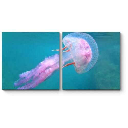Модульная картина Опасная розовая красавица-медуза 80x40