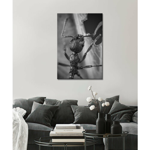 Картина -Муравей, муравей макро, муравей близко (52) 50х70