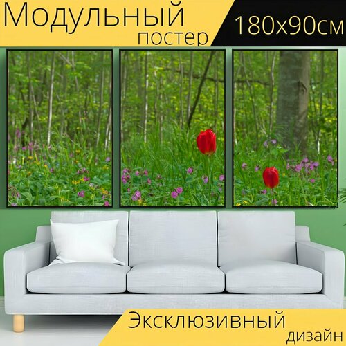 Модульный постер "Тюльпан, всплеск цвета, лес" 180 x 90 см. для интерьера