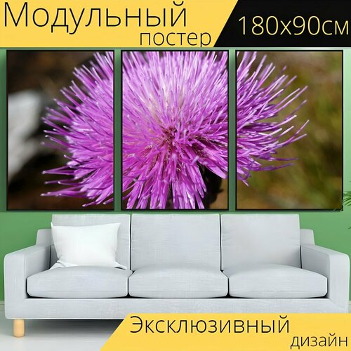 Модульный постер "Цветок, фиолетовый цветок, цвести" 180 x 90 см. для интерьера