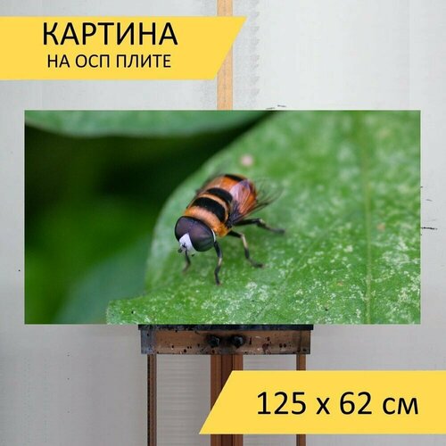 Картина на ОСП 125х62 см. "Летать, насекомое, лист" горизонтальная, для интерьера, с креплениями