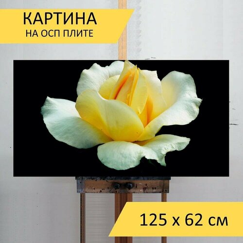 Картина на ОСП 125х62 см. "Роуз, цветок, чай" горизонтальная, для интерьера, с креплениями