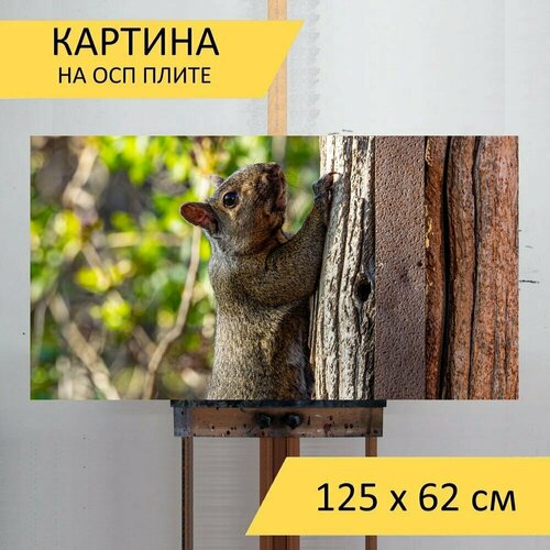 Картина на ОСП 125х62 см. "Дикая природа, природа, грызун" горизонтальная, для интерьера, с креплениями